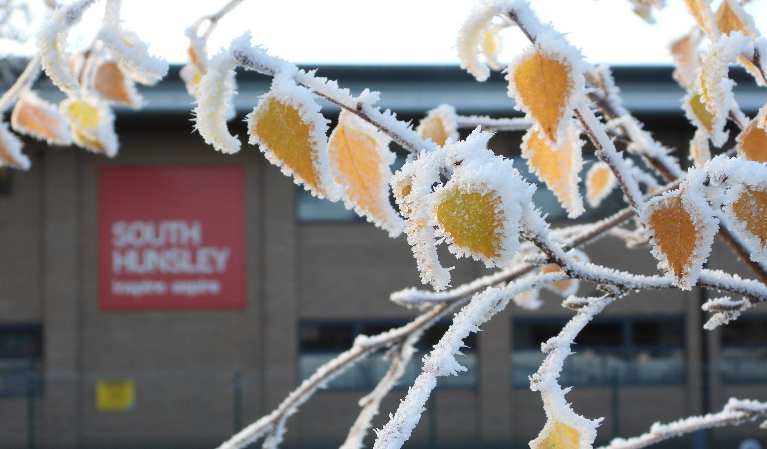 The Hunsley Way Newsletter - Winter 2023 - South Hunsley School